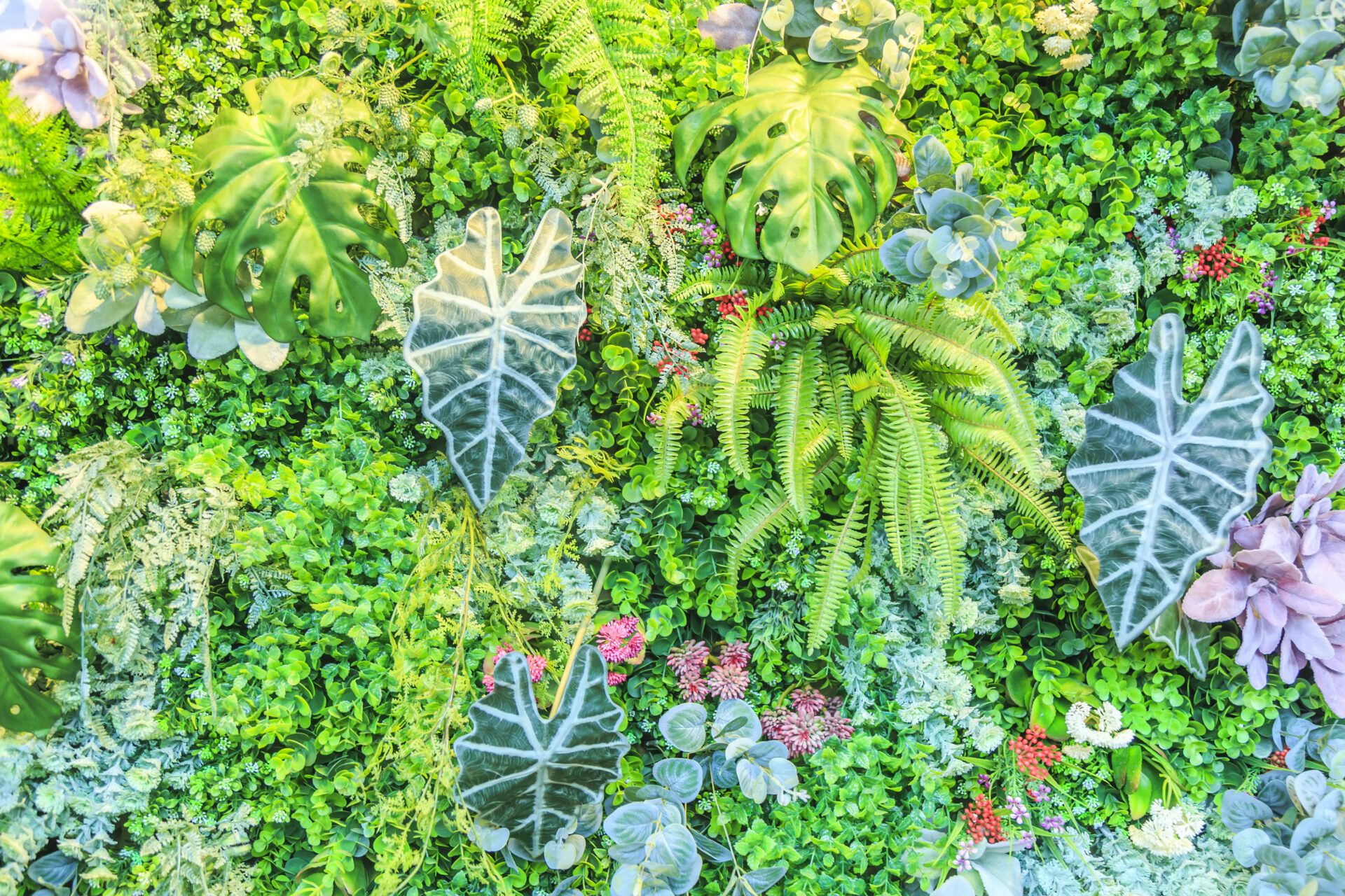 Biophilic Backdrops & Living Walls for Luxury NYC Events
